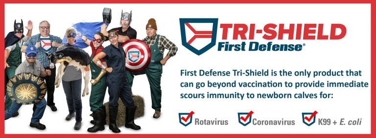 Immucell – Immediate Immunity™