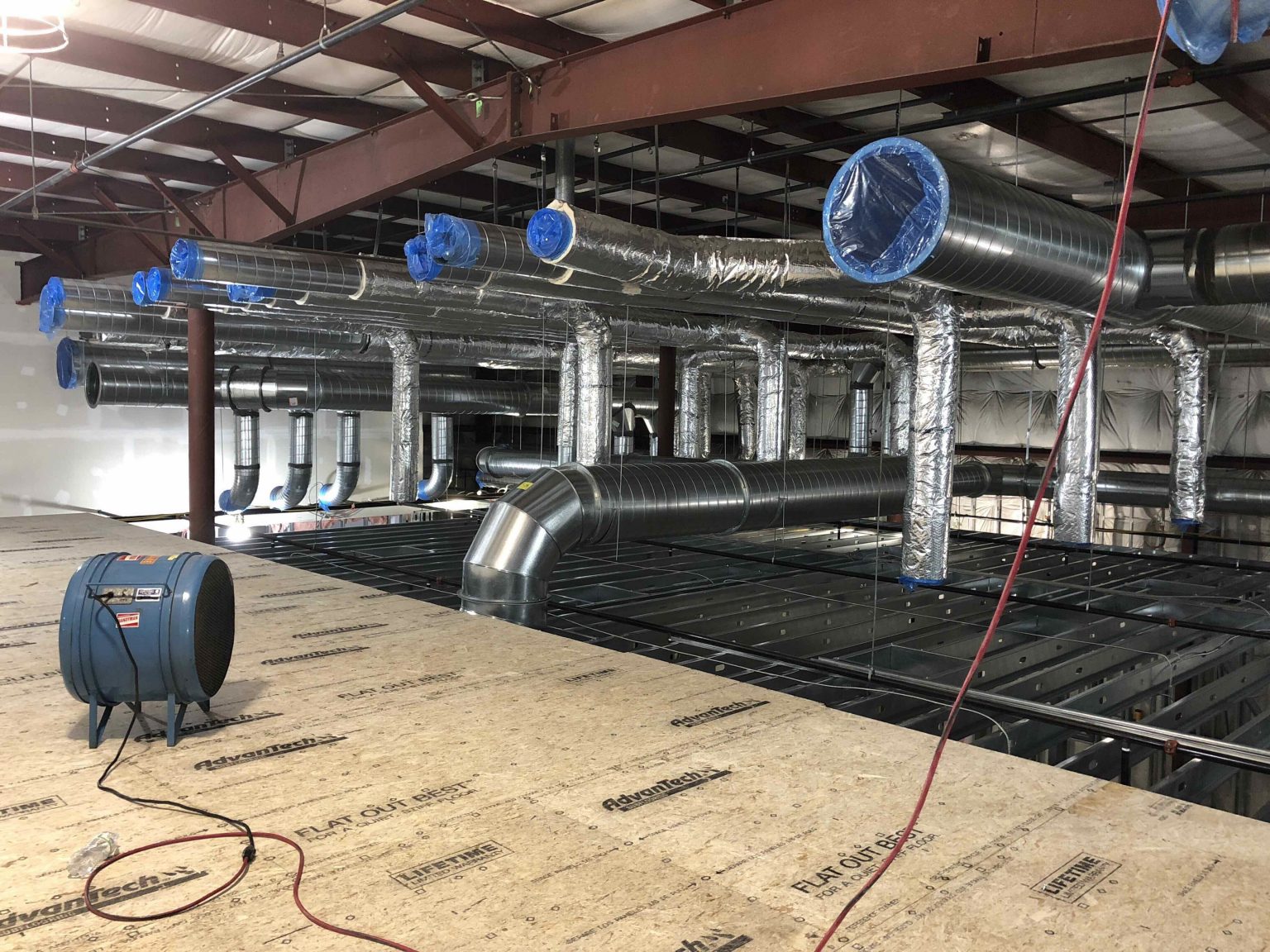 Immucell – Immediate Immunity™