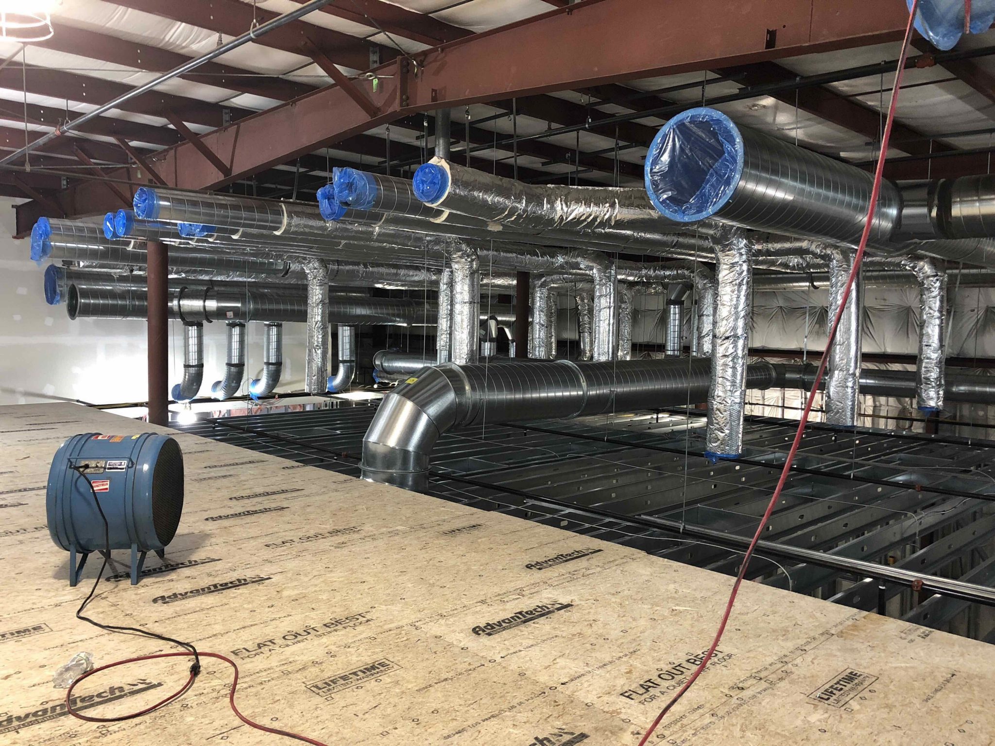 Immucell – Immediate Immunity™